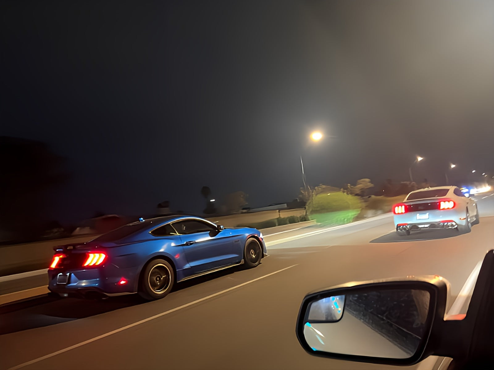 PlateVanish | Stealth License Plates